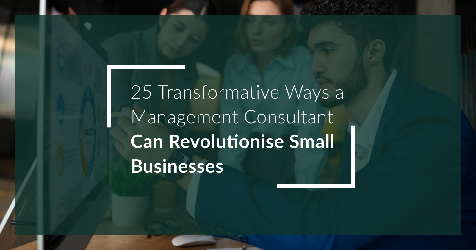 25 Ways A Management Consultant Can Revolutionalise Small Businesses