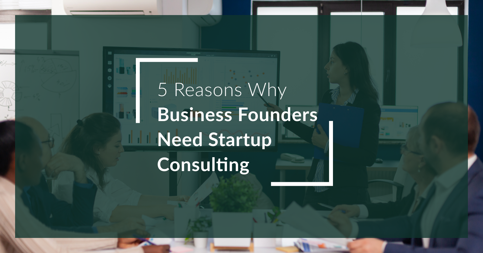 5 Reasons Why Business Founders Need Startup Consulting