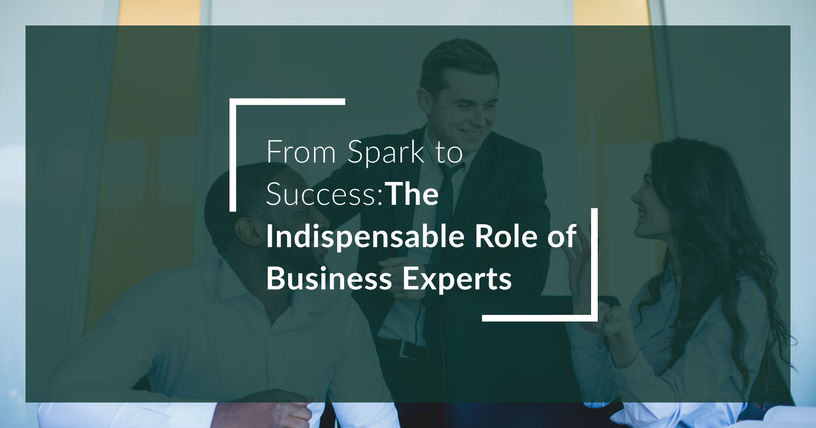 From Spark to Success: The Indispensable Role of Business Experts