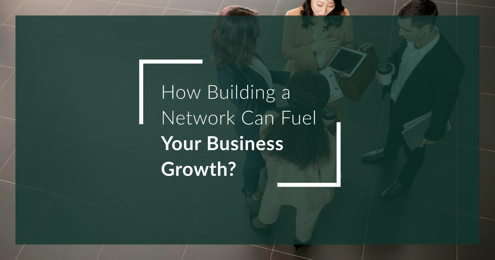 How Building a Network Can Fuel Your Business Growth?