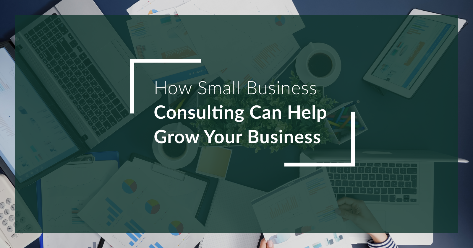 How Small Business Consulting Can Help Grow Your Business