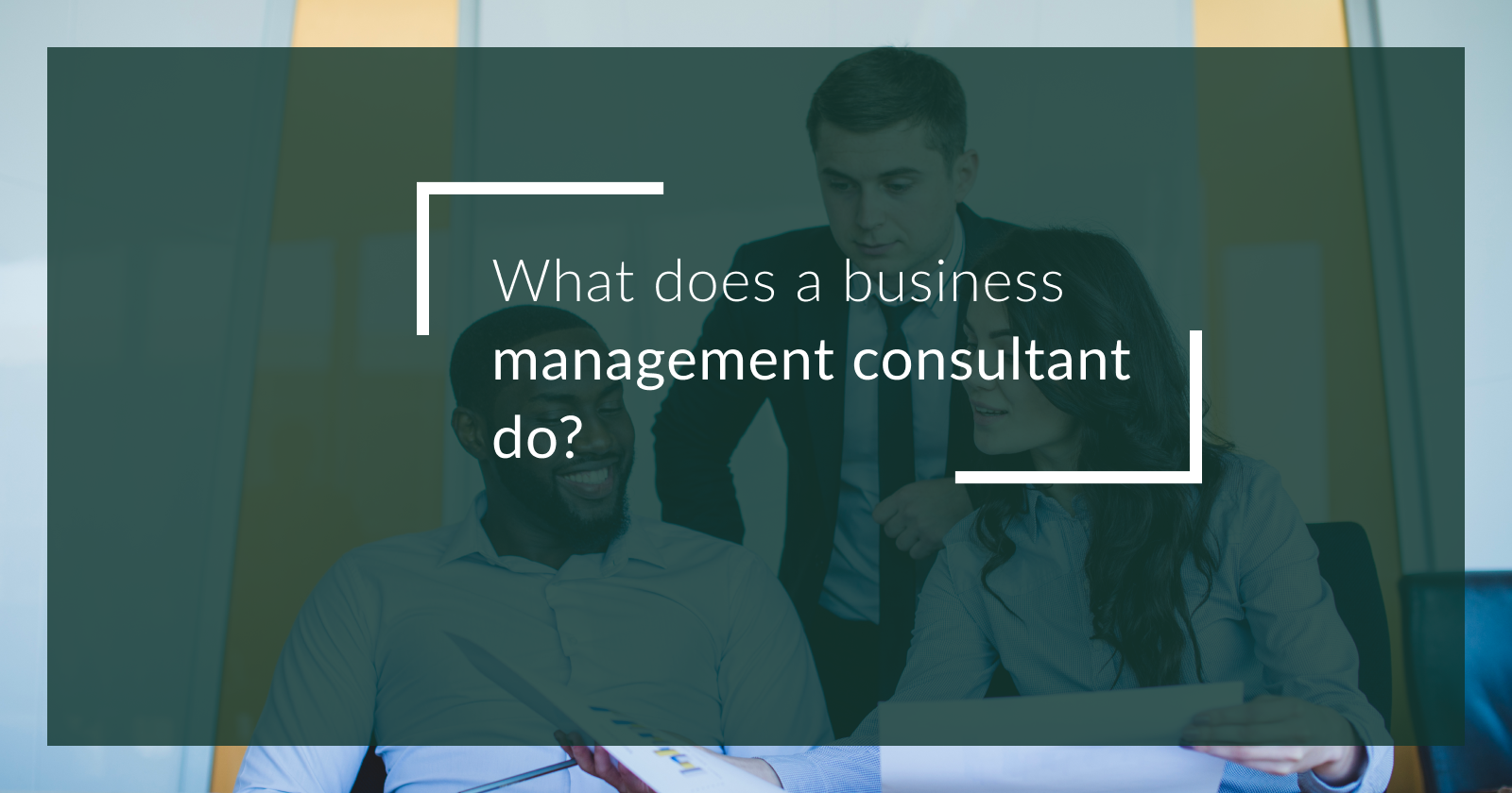 What does a business management consultant do?