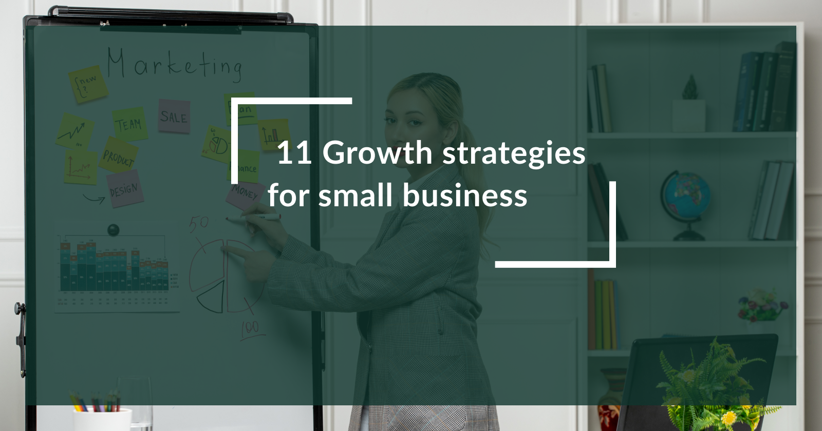 11 Growth strategies for small business